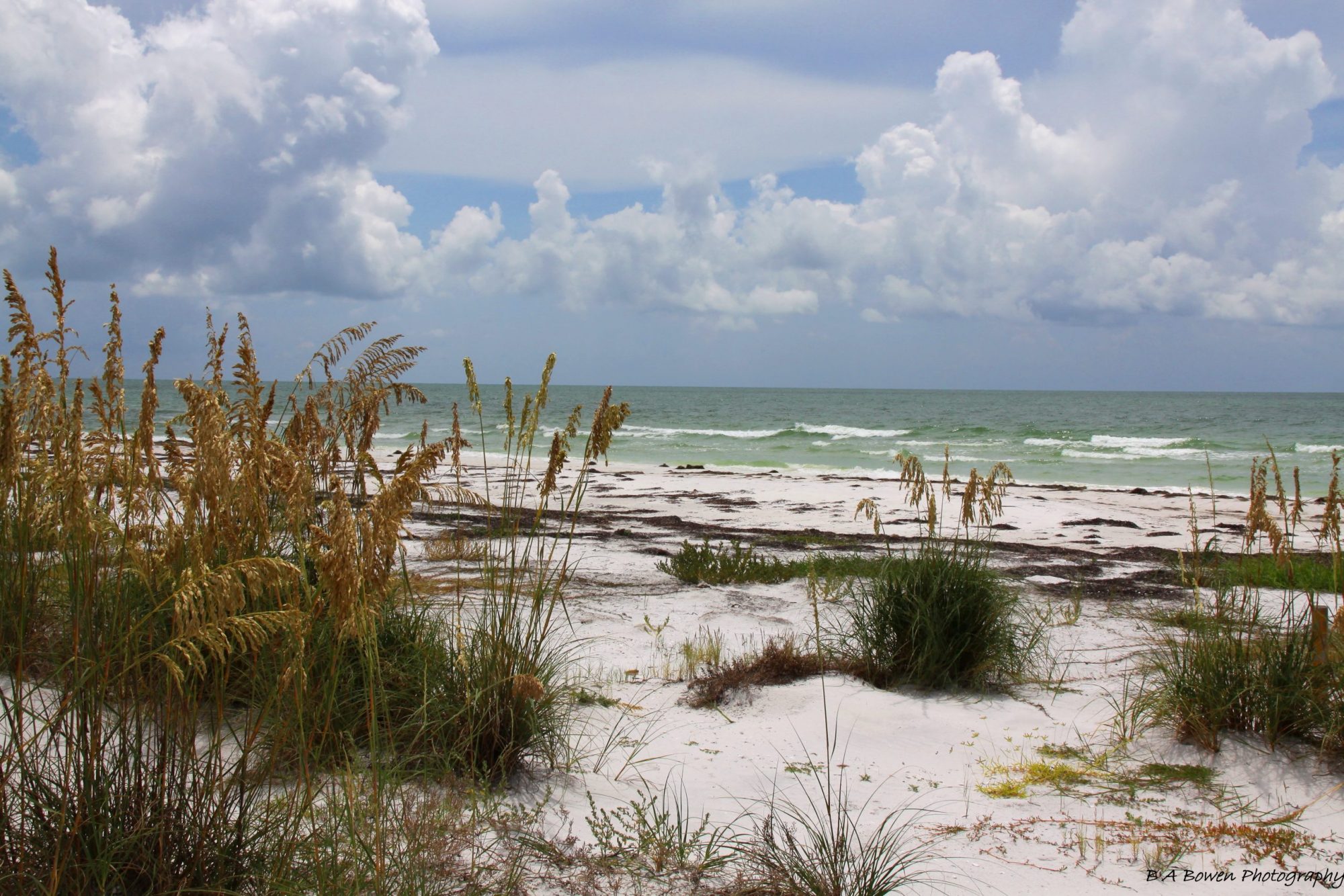 Beach Clean-up, Okaloosa Island • Florida Wildlife Federation