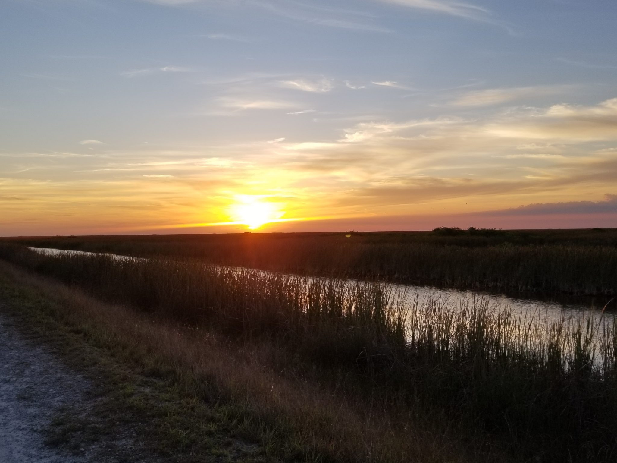 Wildlife Conservation • Florida Wildlife Federation