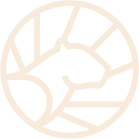 Shell-ebrating the Gopher Tortoise