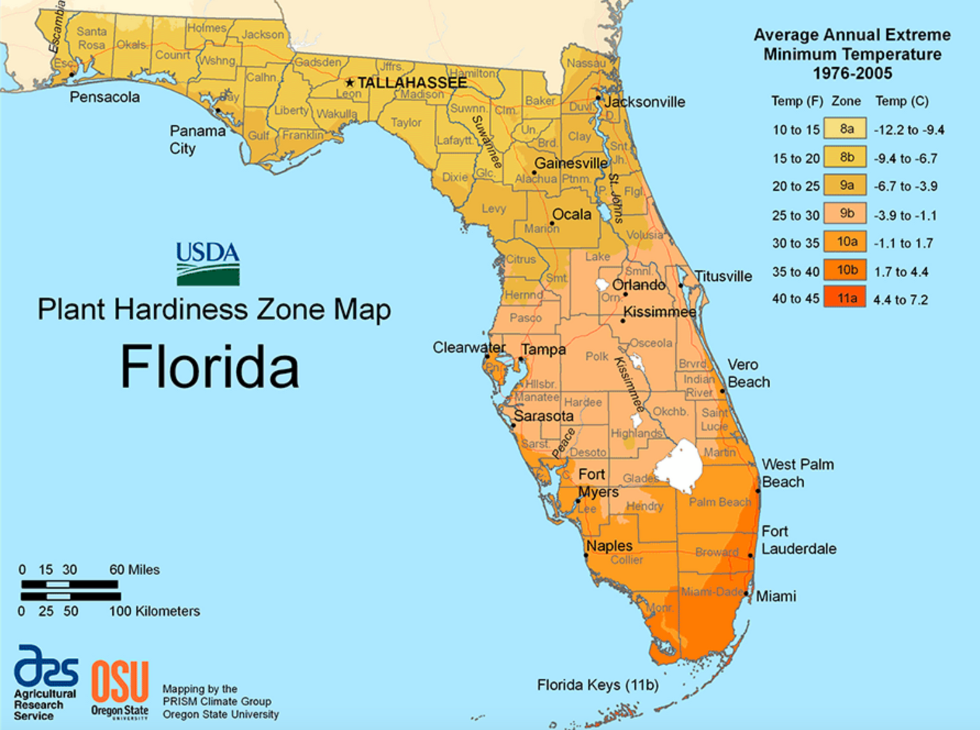 Gardening in Florida • Florida Wildlife Federation