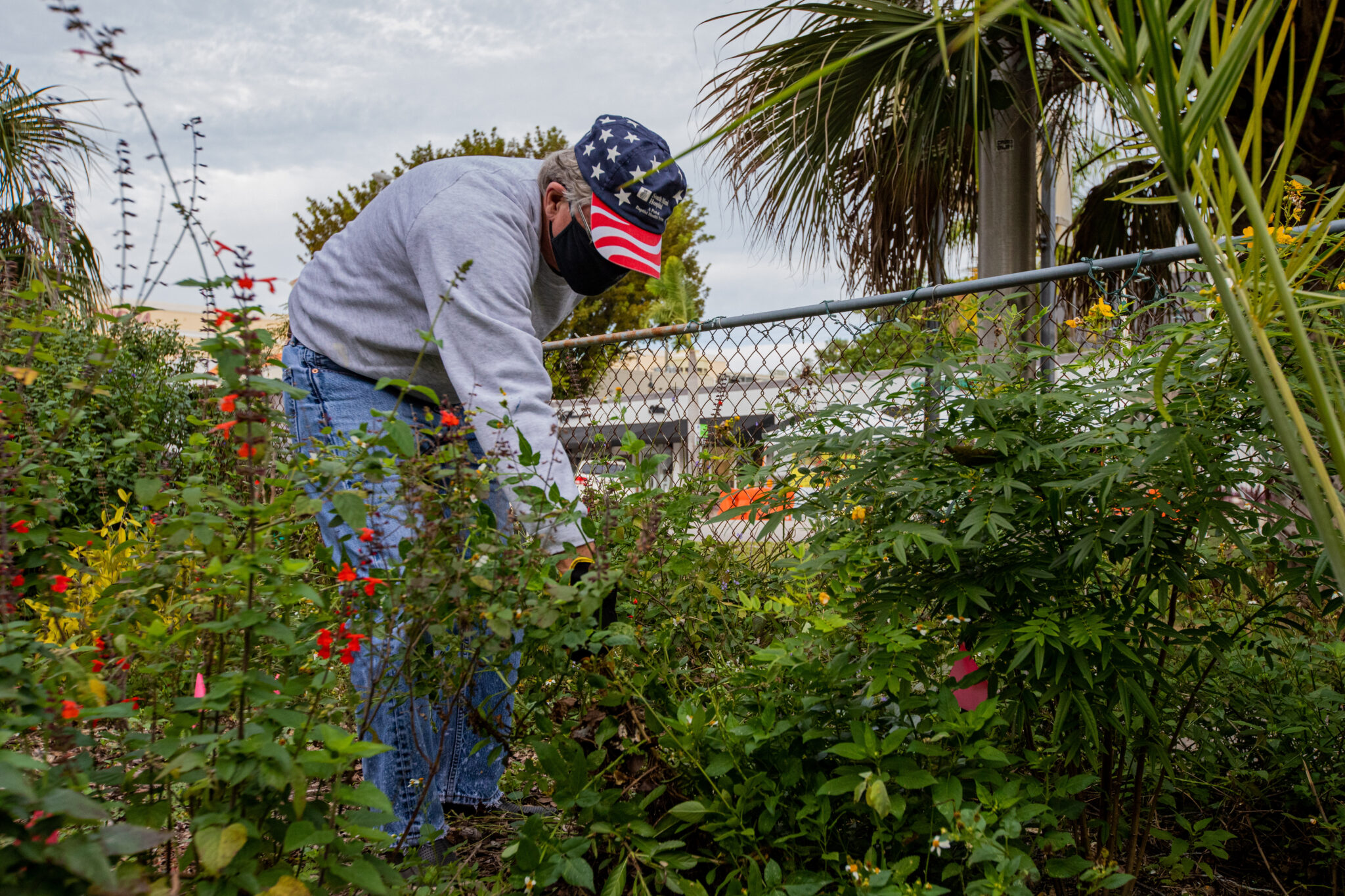 The Effects of Pesticides on Pollinators • Florida Wildlife Federation