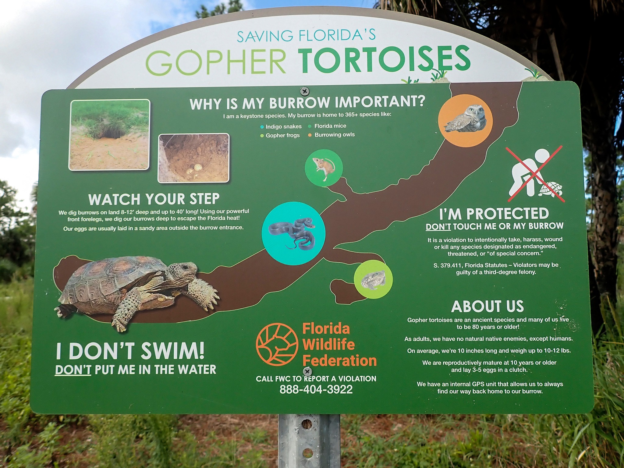 Gopher Tortoise Signs • Florida Wildlife Federation