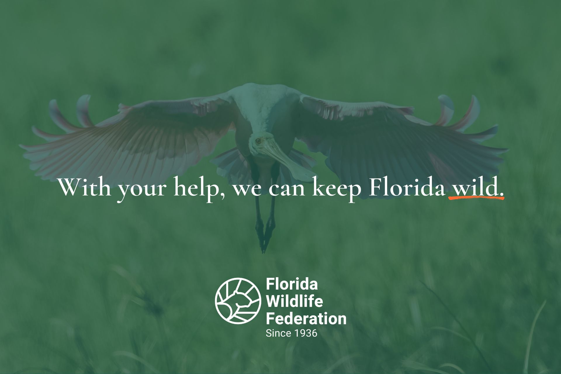 2025 Spring Appeal • Florida Wildlife Federation