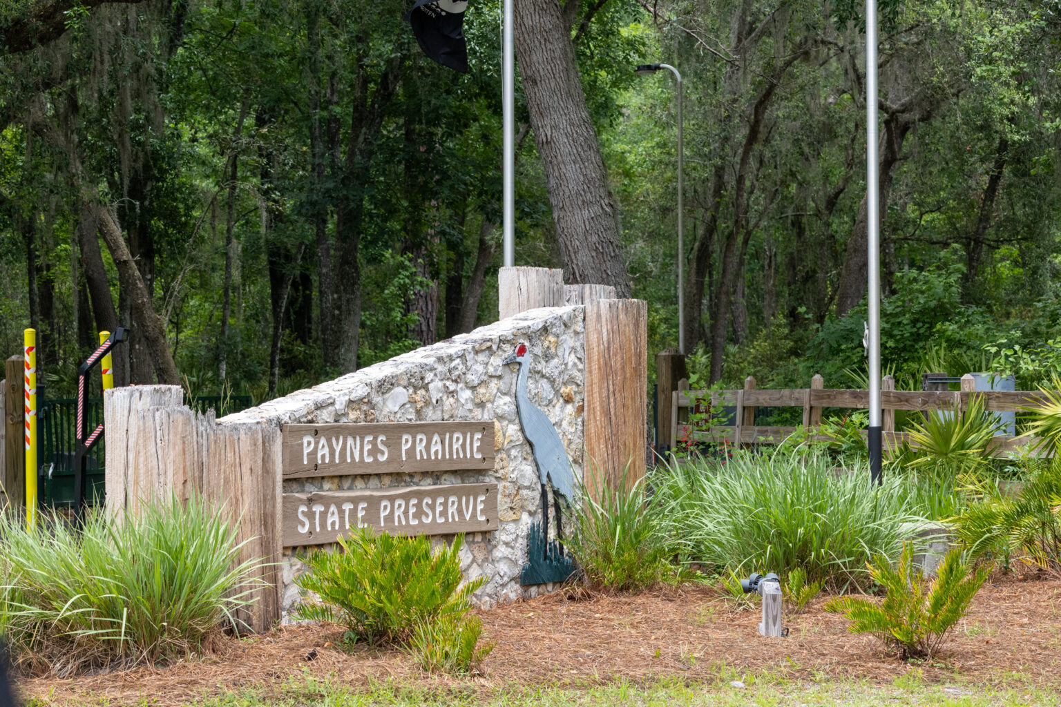 Get Outside with FWF: Connecting with Nature at Bayard Conservation Area